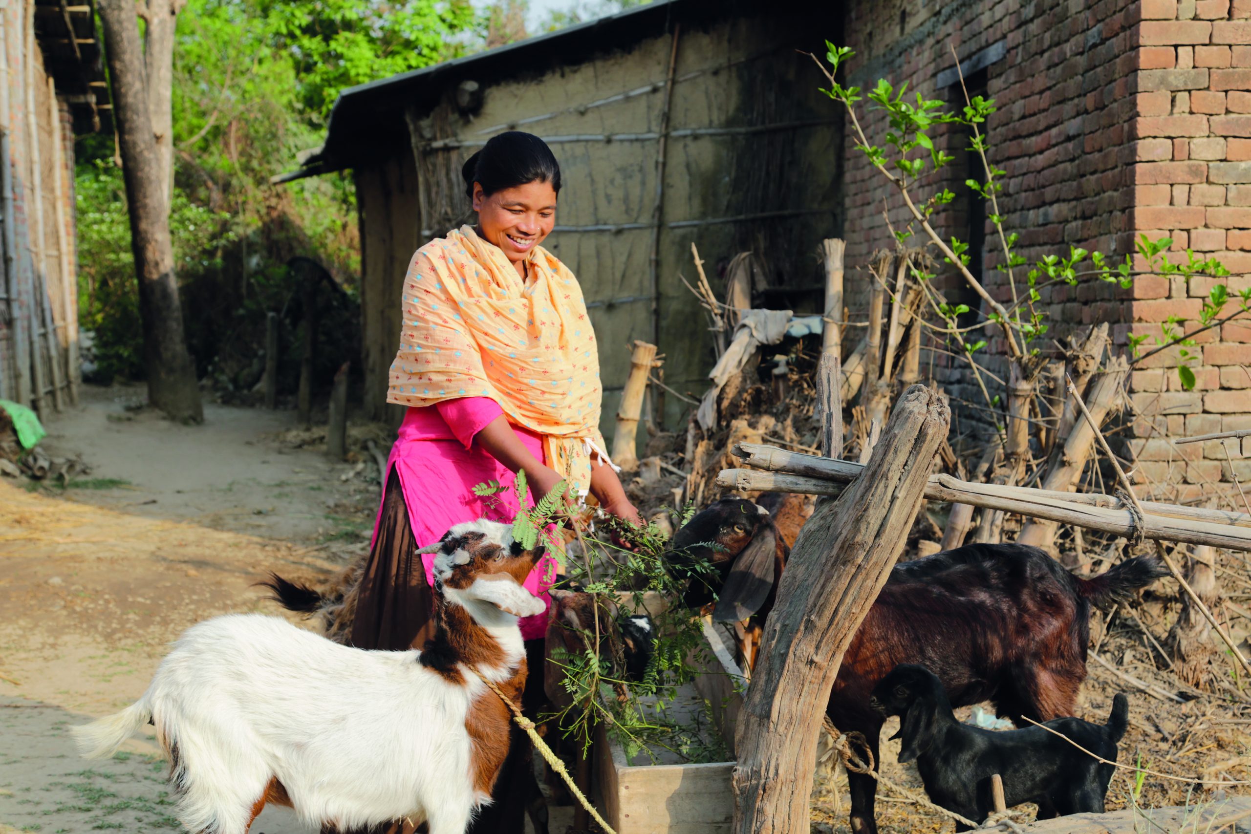 LI-BIRD - Local Initiatives for Biodiversity, Research and Development ...